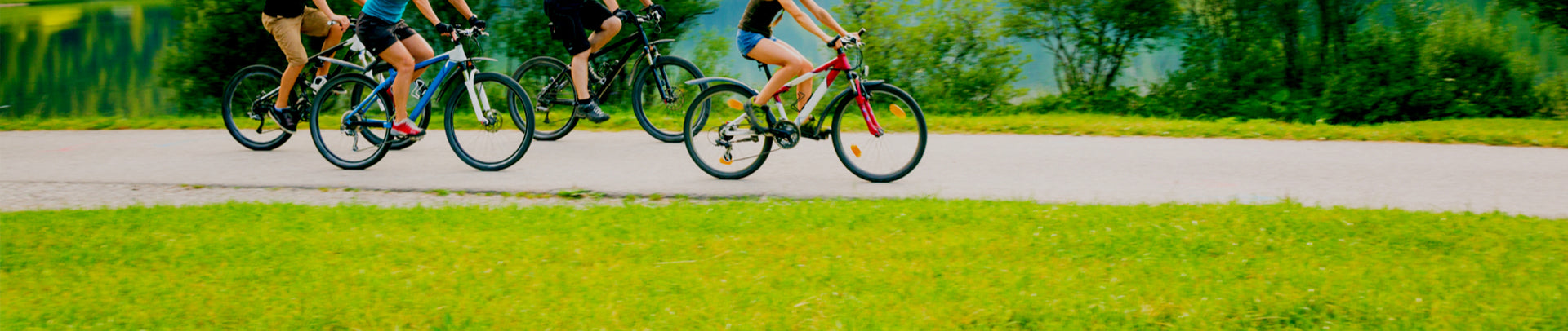 Elektrische Fietsen – Fietsgigant